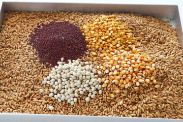 Multigrain Atta Recipe | How to Make Multigrain Atta at home - Sharmis ...