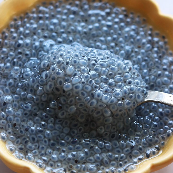 Sabja Seeds (Basil Seeds) | How to use Sabja Seeds- Sharmis Passions