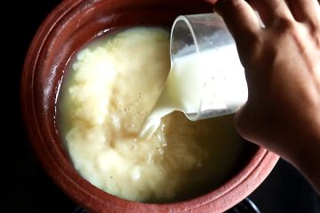 Aadi Paal Recipe | Aadi Thengai Paal Recipe - Sharmis Passions