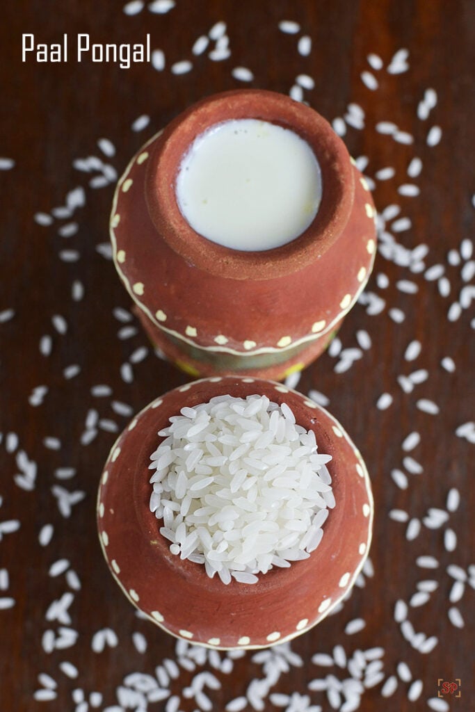 Paal Pongal Recipe | Milk Pongal Recipe - Sharmis Passions