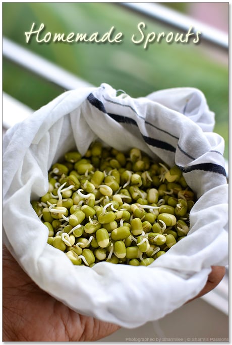 How to make sprouts - Sharmis Passions