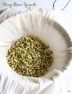 Mung Bean Sprouts Recipe | Green Gram Sprouts - Sharmis Passions