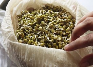 Mung Bean Sprouts Recipe | Green Gram Sprouts - Sharmis Passions