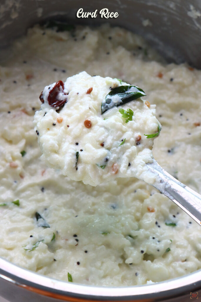 Curd Rice Recipe | Thayir Sadam Recipe | Daddojanam Recipe - Sharmis ...
